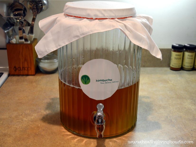 How to Make Kombucha - Healthy Living How To